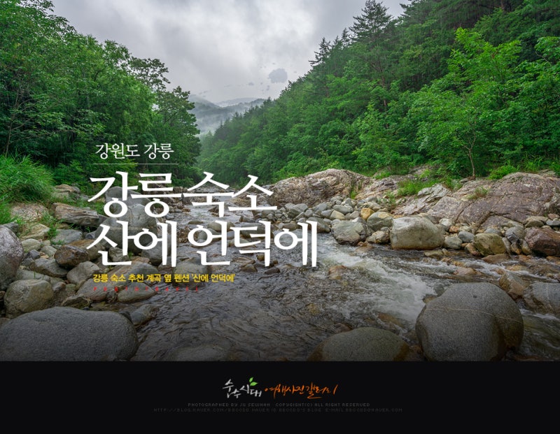강릉 숙소 추천 계곡 옆 펜션 산에 언덕에 네이버 블로그
