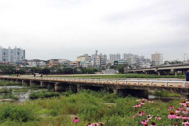 영천 가볼만한곳 영천생태지구공원 꽃보며 힐링해요 네이버 블로그