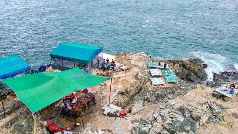 서울촌놈 부산여행 코스 태종대 영도등대 해녀촌 네이버 블로그