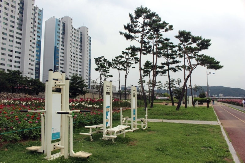 영천 가볼만한곳 영천생태지구공원 꽃보며 힐링해요 네이버 블로그