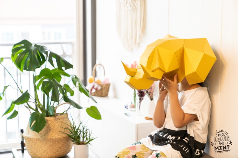 Diy 인테리어 소품 Dna디자인 페이퍼 헌팅트로피 네이버 블로그