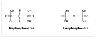 비스포스포네이트, 작용기전, Bisphosphonate, mechanism of action : 네이버 블로그