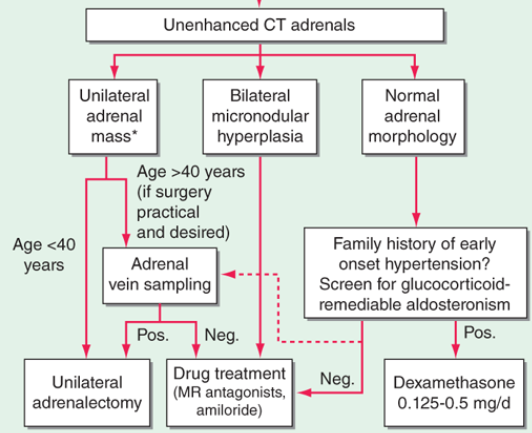 [Endocrinology] 일차성 고알도스테론증의 진단과 처치, Diagnosis and treatment of primary ...