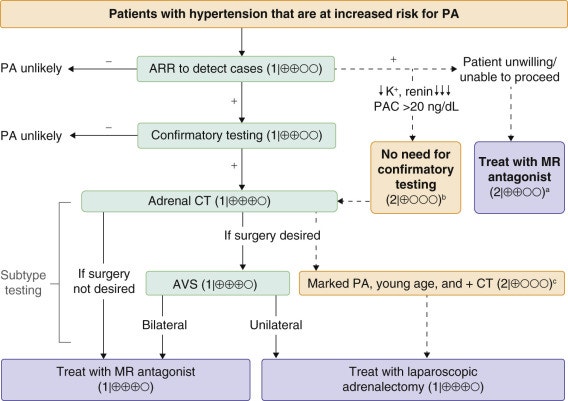 [Endocrinology] 일차성 고알도스테론증의 진단과 처치, Diagnosis and treatment of primary ...