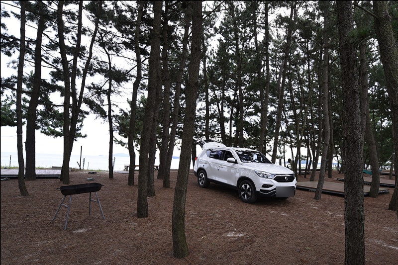 서천캠핑장 군산캠핑장 서천 해송펜션에서 힐링하고 가세요 네이버 블로그