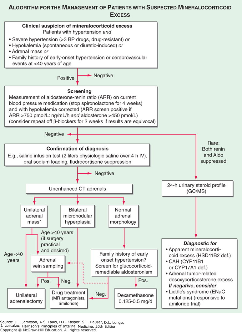 [Endocrinology] 일차성 고알도스테론증의 진단과 처치, Diagnosis and treatment of primary ...