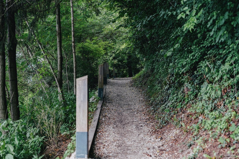 슬로베니아 여행 류블랴나에서 블레드 당일치기 블레드성 보기 네이버 블로그