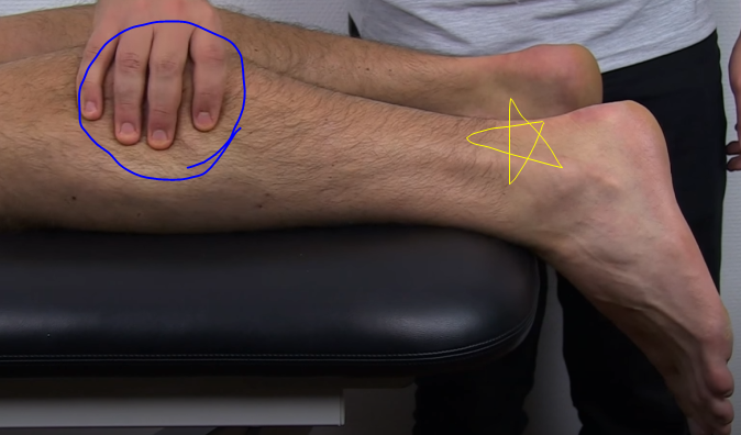 발목 특수검사 총정리 Ankle special test : 네이버 블로그