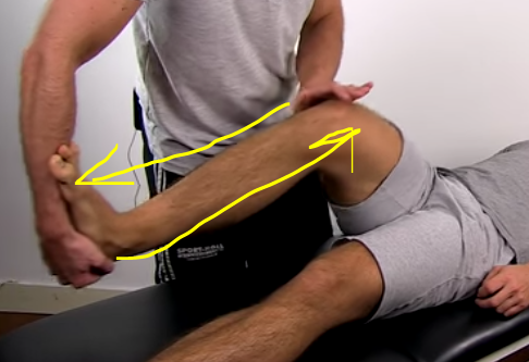무릎 특수검사 총정리 Knee special test : 네이버 블로그
