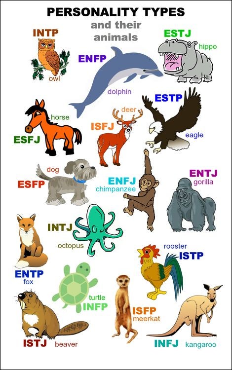 MBTI 성격유형으로 찾는 나와 닮은 동물?! : 네이버 블로그