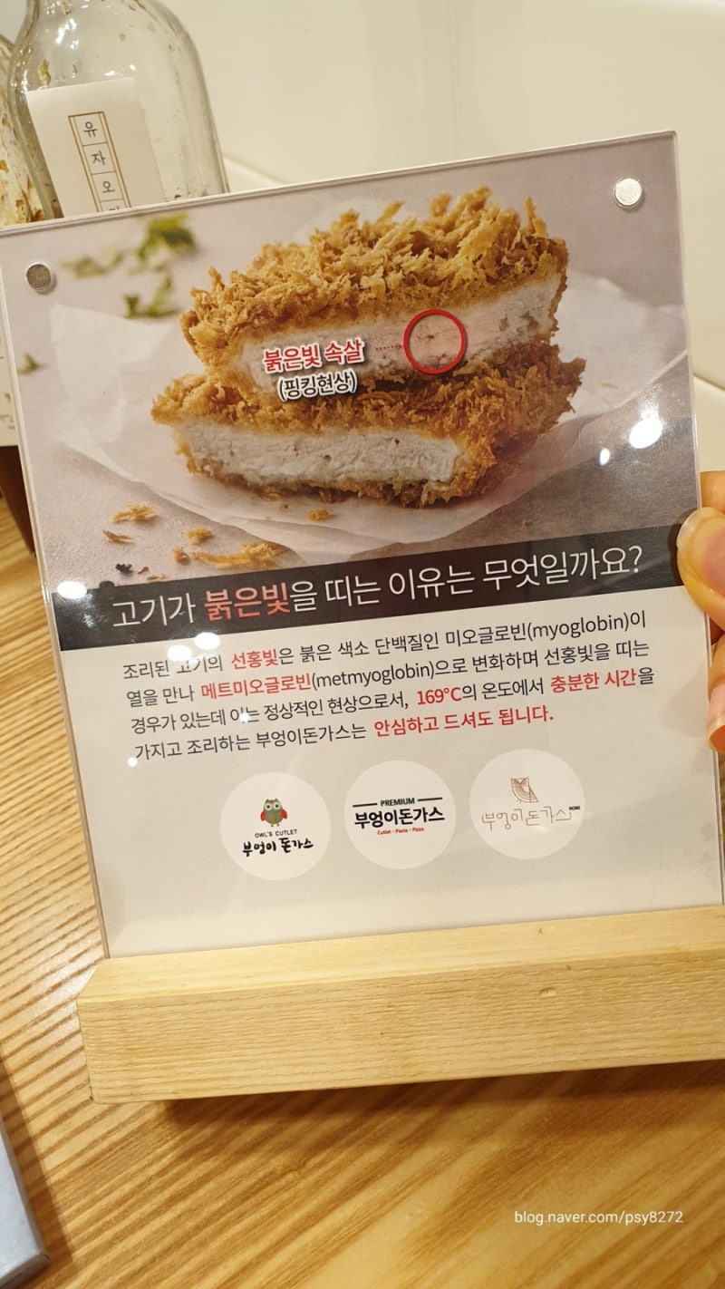 부엉이돈가스가든파이브점 문정동 돈까스 맛집 장지동맛집 부엉이돈가스 인기메뉴 샐러드돈가츠 눈꽃치즈돈가츠 정식세트로 푸짐하게