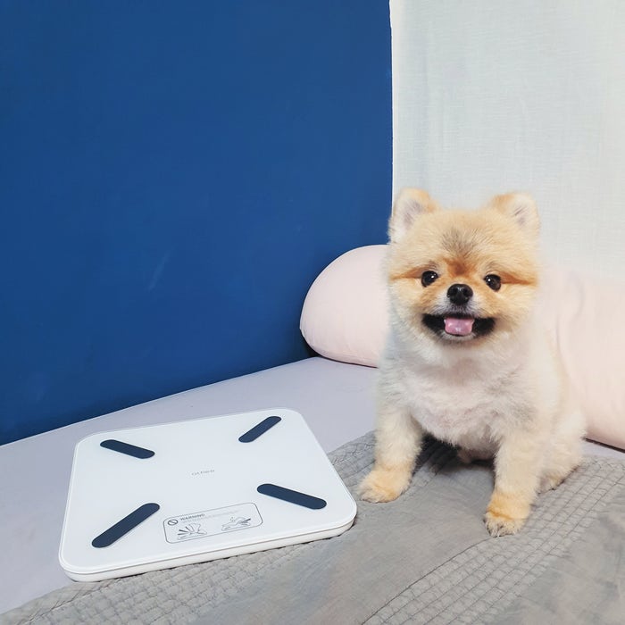 인바디체중계 앳플리 꼼꼼한 측정! 강아지도 같이 써요! : 네이버 블로그