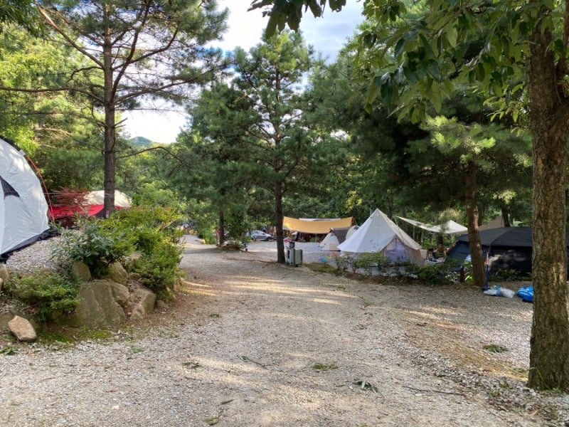 강화도 낭만에코파크 캠핑장 : 네이버 블로그