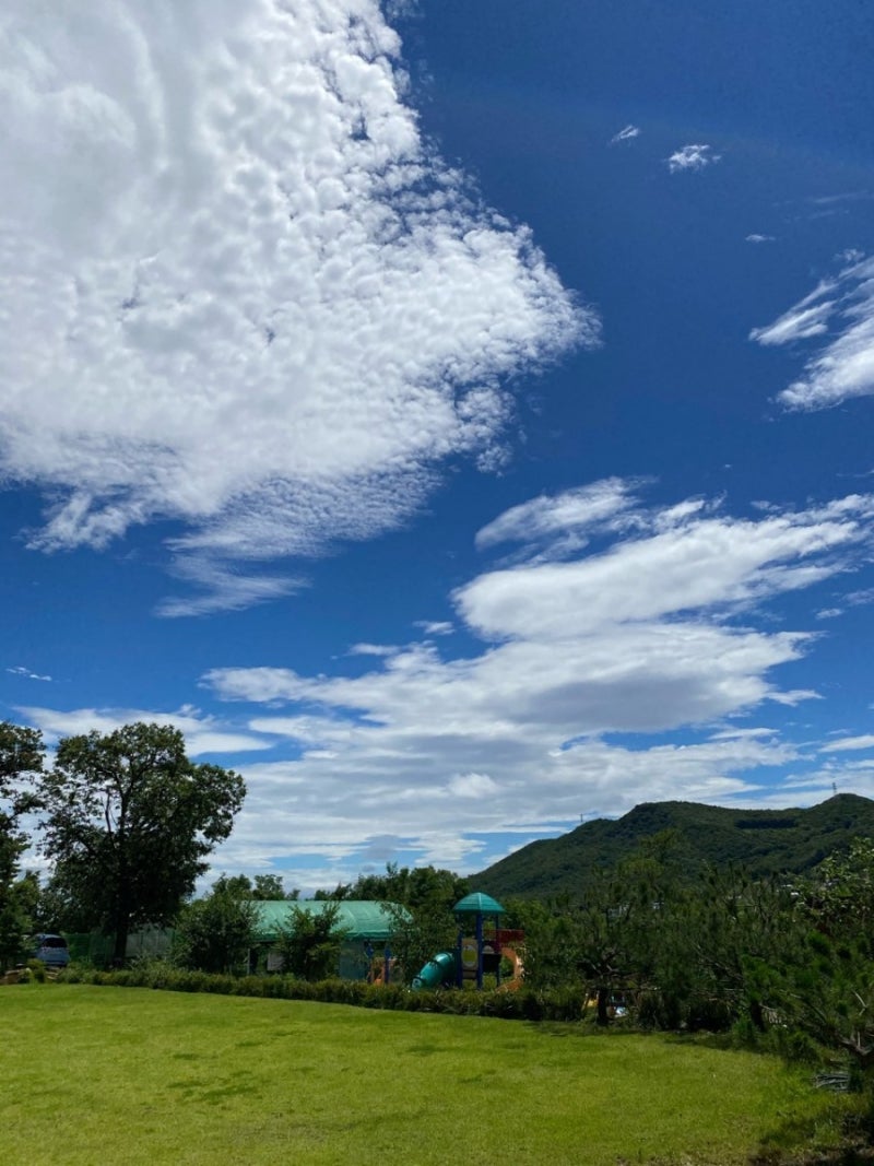 강화도 낭만에코파크 캠핑장 : 네이버 블로그