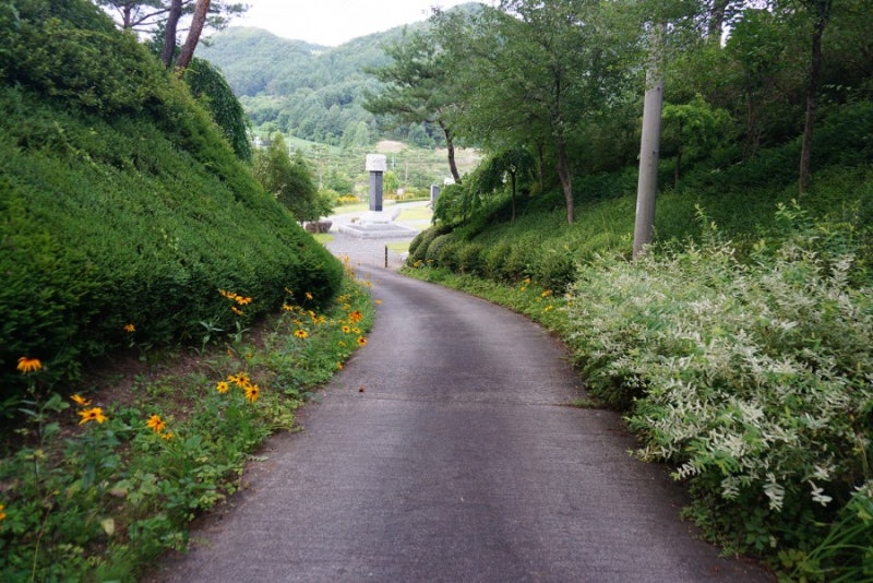 반려견과 함께한 여행 홍천의 숨은 보석 척야산 문화수목원 네이버 블로그