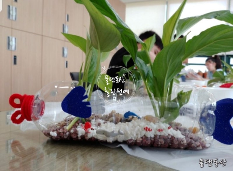 원예심리치료수업 재활용 페트병 어항수경재배 네이버 블로그