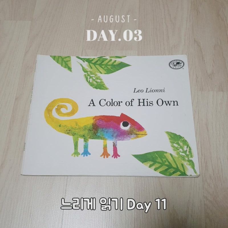 느리게 100권 읽기 Day 11 A Color of His Own by Leo Lionni : 네이버 블로그