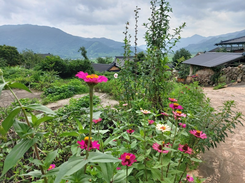 진주 하동 2박 3일 2일차 최참판댁과 박경리문학관 의 배경 하동 평사리에서 네이버 블로그