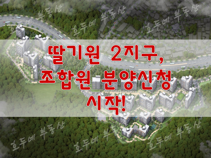 재개발 딸기원2지구 조합원 분양신청 시작 네이버 블로그