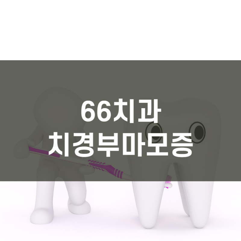 치경부마모증 충치치료 레진치료 세라믹치료 잇몸질환치료 크라운치료 육육아이디치과 온천장치과 동래치과 부산치과