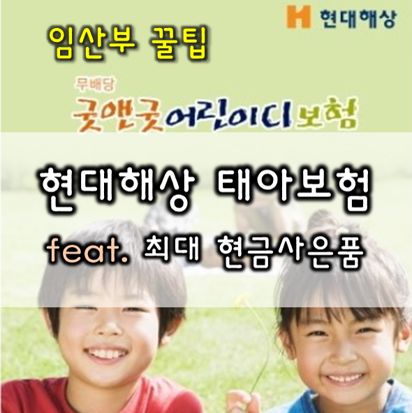 임산부 알짜정보 현대해상 태아보험 가입완료 Feat 현금사은품 무료산모특약 유아용품 네이버 블로그