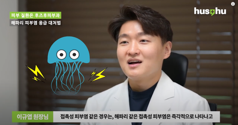 해파리 독 일광화상 등 여름 피부질환 응급처치법 네이버 블로그