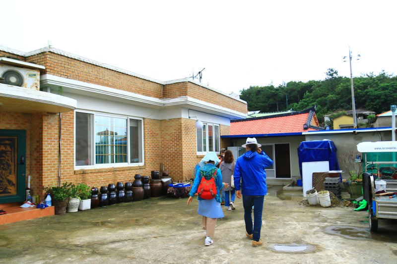 신안섬여행 섬티아고 순례자의섬 배편 가는 방법 여행팁 정리 네이버 블로그