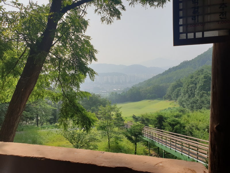 파주 골프장 올림픽cc 후기 수도권 최고 컨디션 필드 추천 네이버 블로그