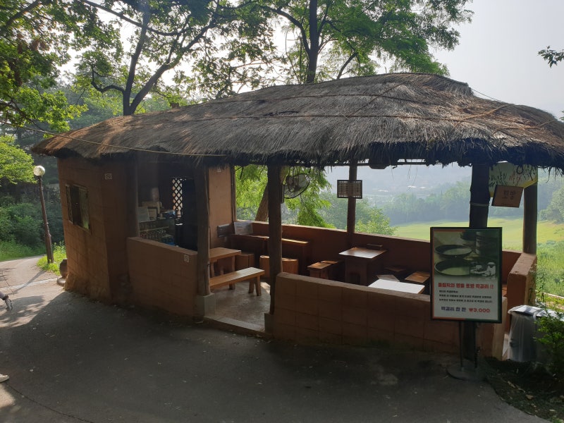 파주 골프장 올림픽cc 후기 수도권 최고 컨디션 필드 추천 네이버 블로그