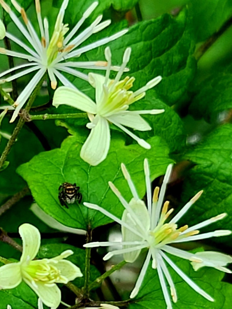 가슴에 내리는비 : 네이버 블로그