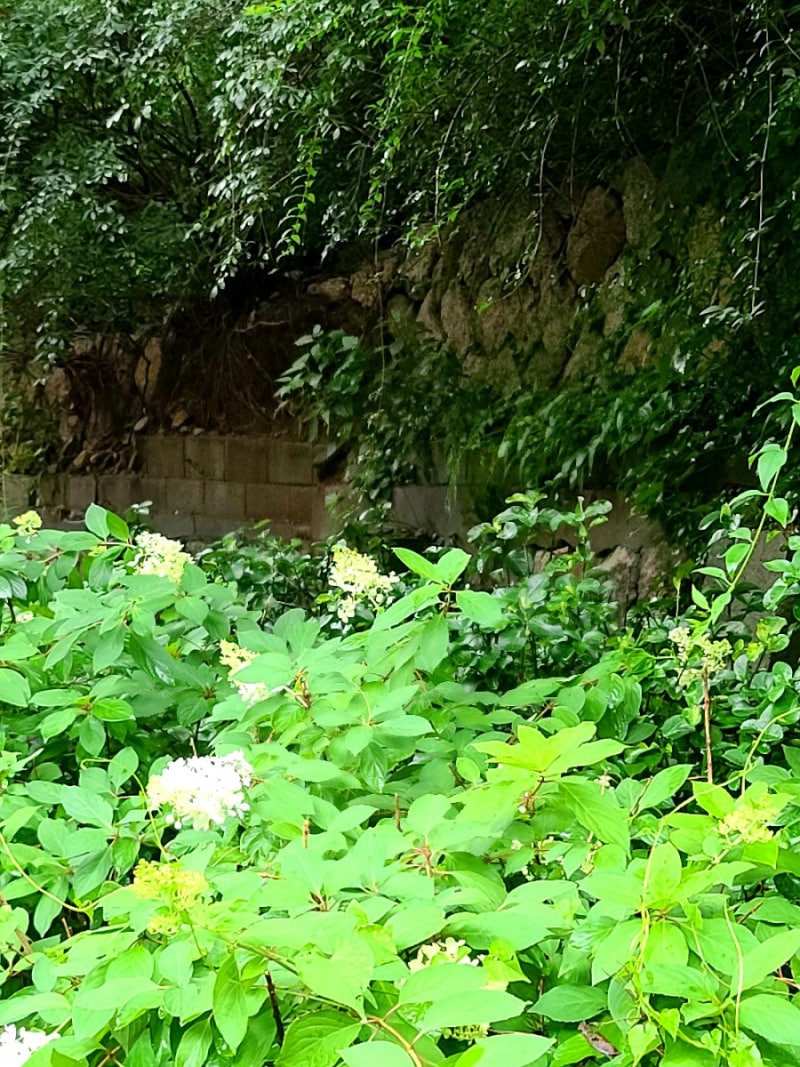 가슴에 내리는비 : 네이버 블로그