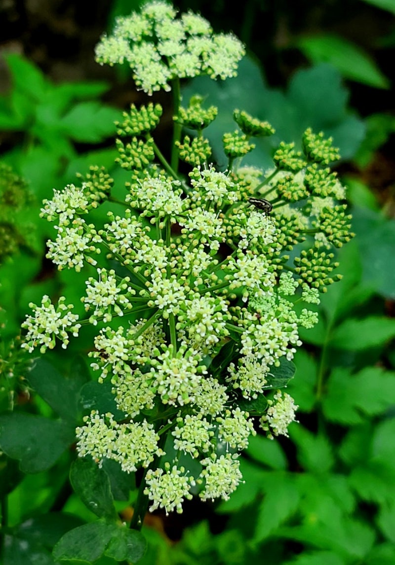 가슴에 내리는비 : 네이버 블로그