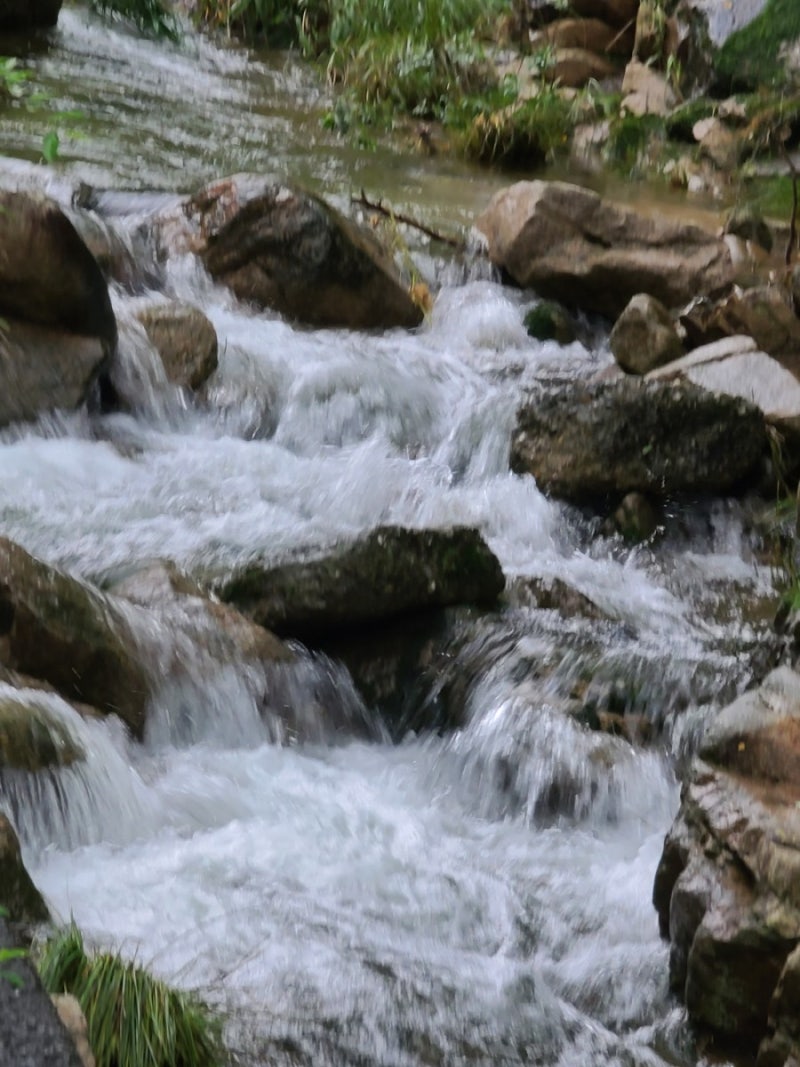 가슴에 내리는비 : 네이버 블로그