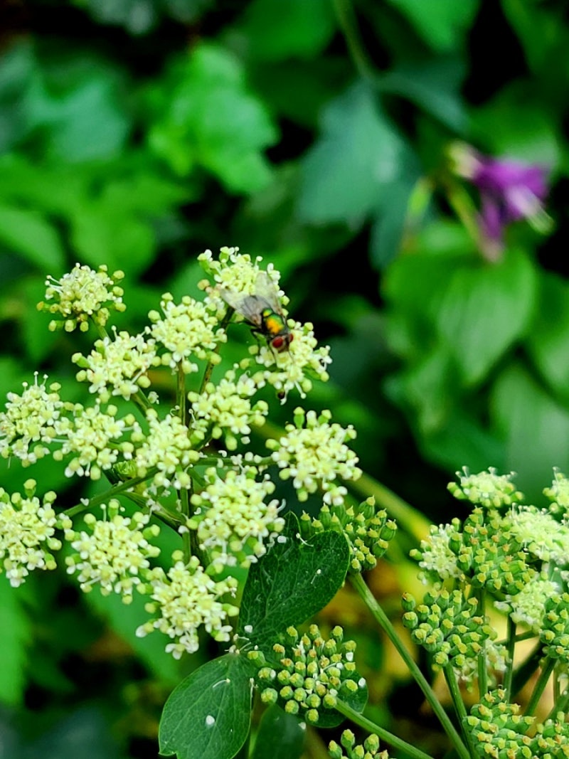 가슴에 내리는비 : 네이버 블로그