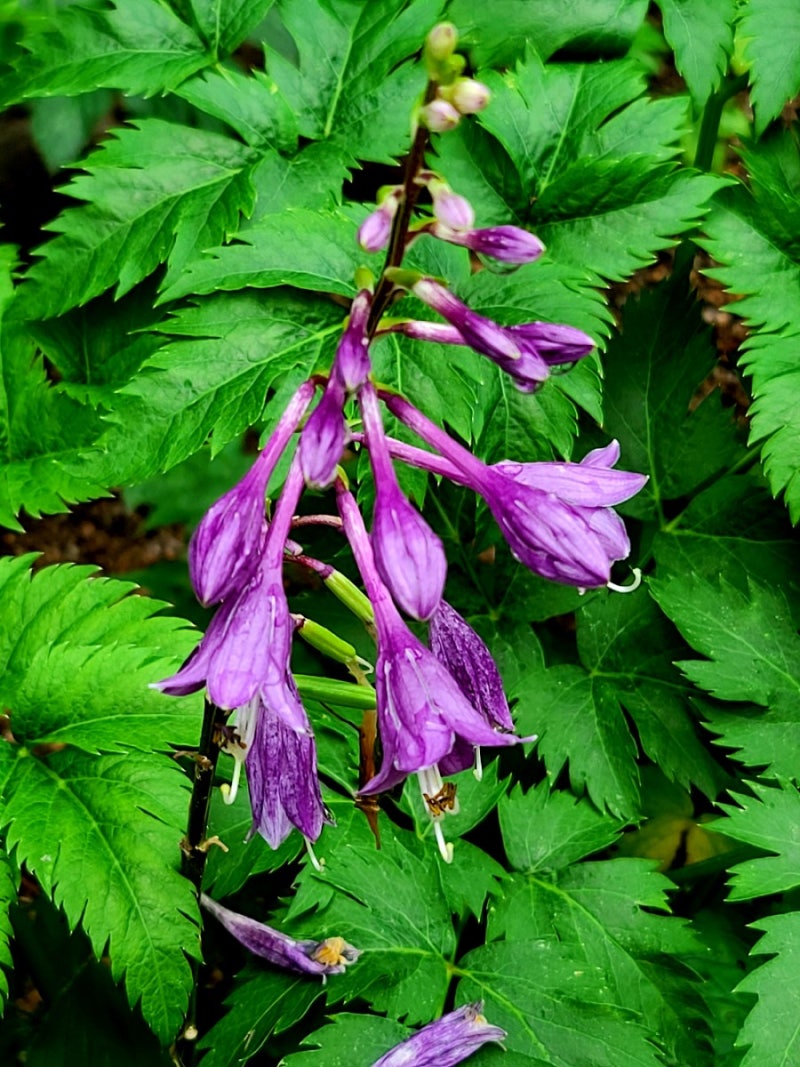 가슴에 내리는비 : 네이버 블로그