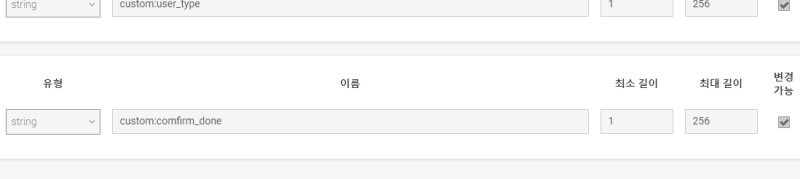 AWS Cognito Exception - A client attempted to write unauthorized attribute - 앱에서 사용자 속성 변경 시 ...