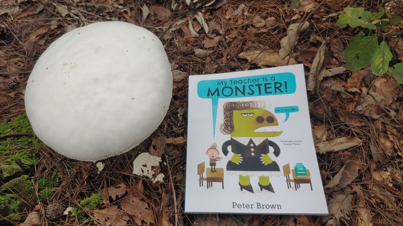 My Teacher Is a Monster!(No, I'm Not) : 네이버 블로그
