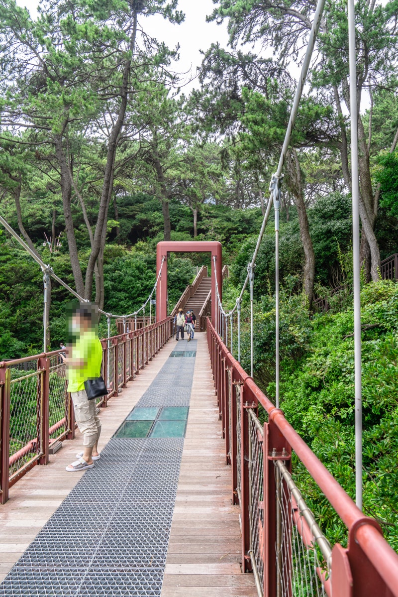 부산 가볼만한곳 해운대 동백섬 산책로부산 해운대 해무 네이버 블로그