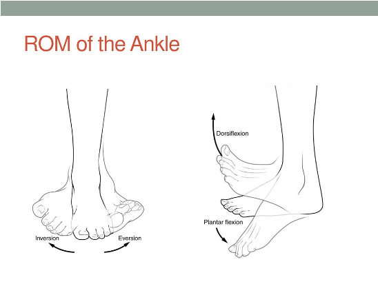 Ankle MBO(Modified Brostrom Operation) - 발목 인대 봉합술 : 네이버 블로그
