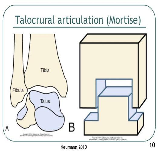 Ankle MBO(Modified Brostrom Operation) - 발목 인대 봉합술 : 네이버 블로그