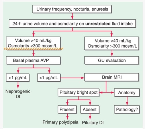 [Nephrology] Diabetes insipidus에서 polyuria 정의와 urine osmolality : 네이버 블로그