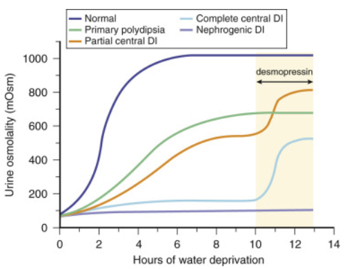 [Nephrology] Goal of water restriction (또는 hypertonic saline) in ...