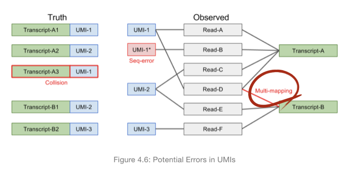 [단일세포 분석] UMI (Unique Molecular Identifier) 란? : 네이버 블로그