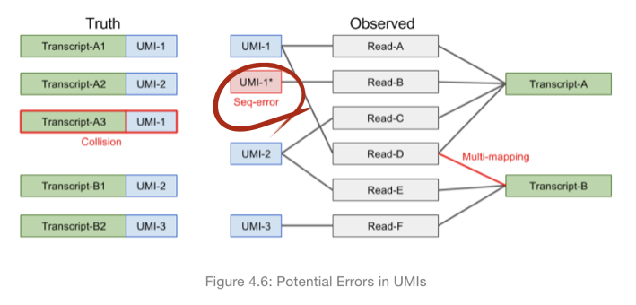 [단일세포 분석] UMI (Unique Molecular Identifier) 란? : 네이버 블로그