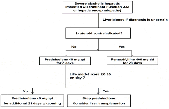 6. 알콜성 간염 : 네이버 블로그