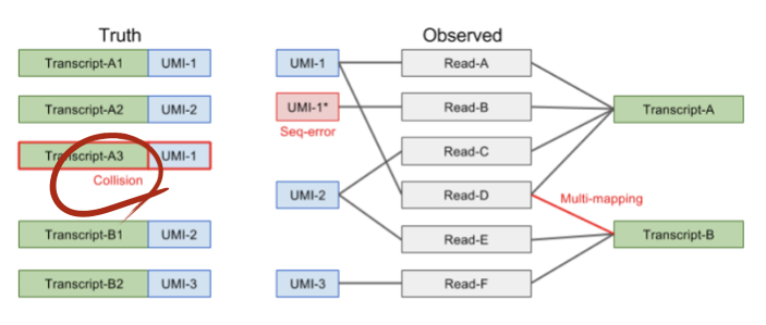 [단일세포 분석] UMI (Unique Molecular Identifier) 란? : 네이버 블로그
