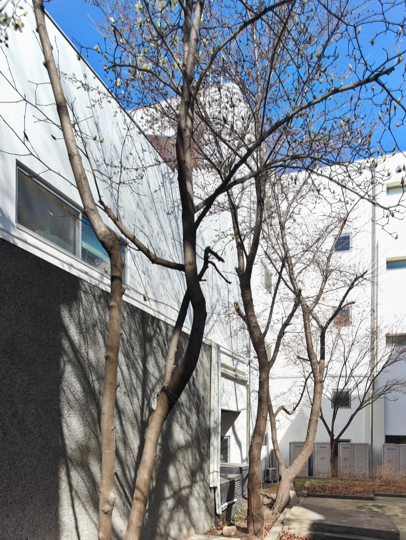 거친 트랜드_종석뜯기와 스토마감에서 스토시그니처 러프10으로_사례탐구 : 네이버 블로그