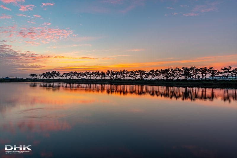 부안~군산~서천 여행 : 솔섬 은하수 / 계화도 일출 / 하제항 / 장항송림산림욕장 / 장항스카이워크 : 네이버 블로그