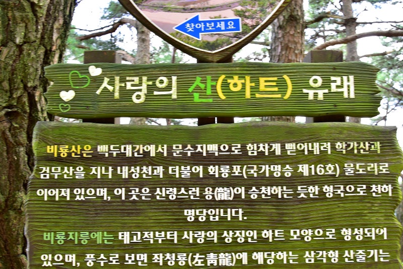 예천 회룡포 전망대의 물돌이뿅뿅다리는 장마에 부서지고 네이버 블로그