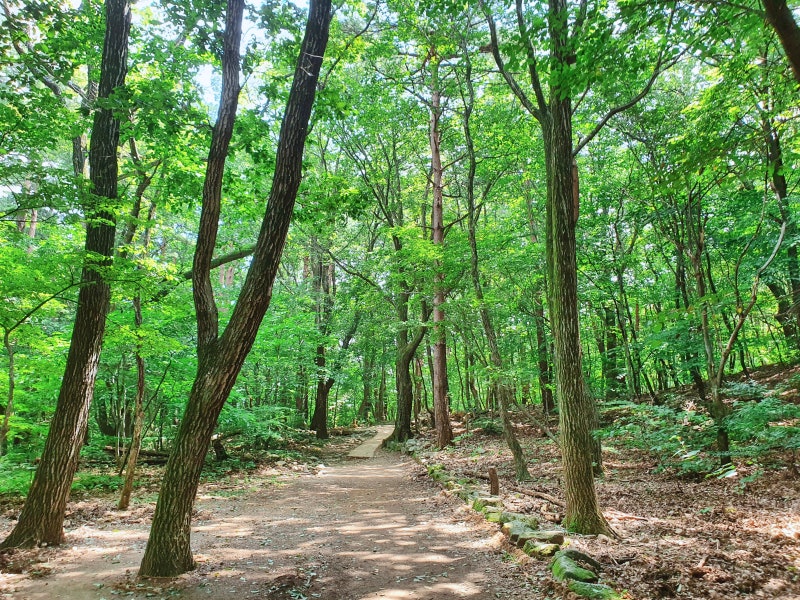 강원도 설악산 토왕성폭포 등산 코스 육담 비룡 토왕성 네이버 블로그